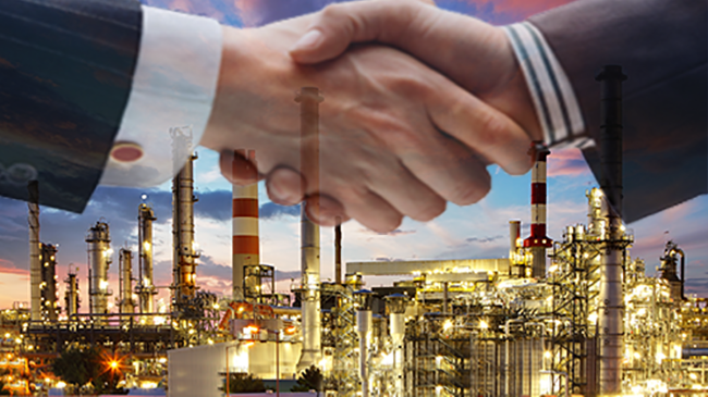 ALFANOIL | Welcome to the official website of ALFANOIL